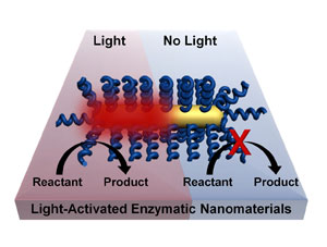 Rice Uses Light To Remotely Trigger Biochemical Reactions