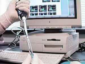 Sample Handling & Analysis