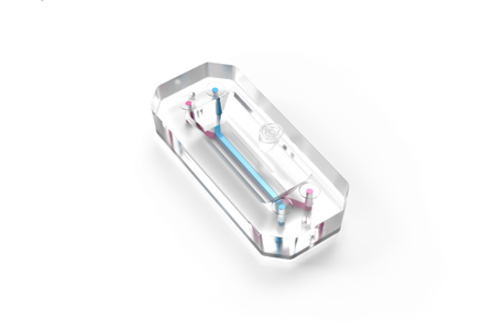 Chip-R1 Basic Research Kit