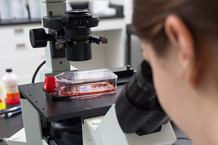 Use Of A Chemically Defined Cloning Medium For Quality And Regulatory ...