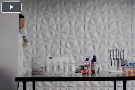 Automated Maxiprep Plasmid Purification