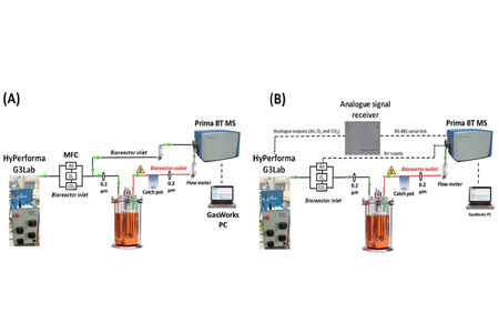 Real-time Characterization Of Mammalian Cell Culture Bioprocesses By ...