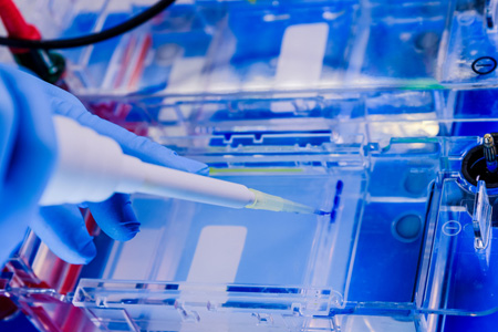 Quality Control In IVT RNA Workflow Using Agilent TapeStation Systems