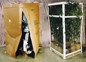 Laminations Has Proven Expertise In Sustainable Packaging Vboard Edge ...