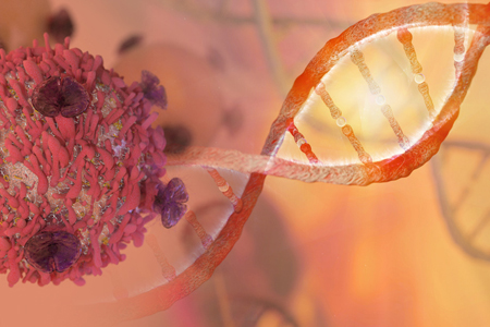 Automation Of The CRISPR- Based Cell Line Development Workflow