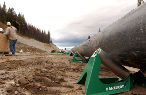 Low Profile Pipe Rollers