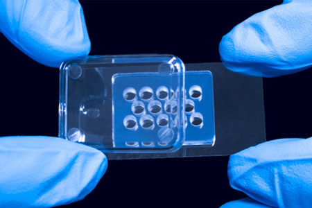 Macro Mass Photometry Measuring The Scattering Contrast And Size Of ...