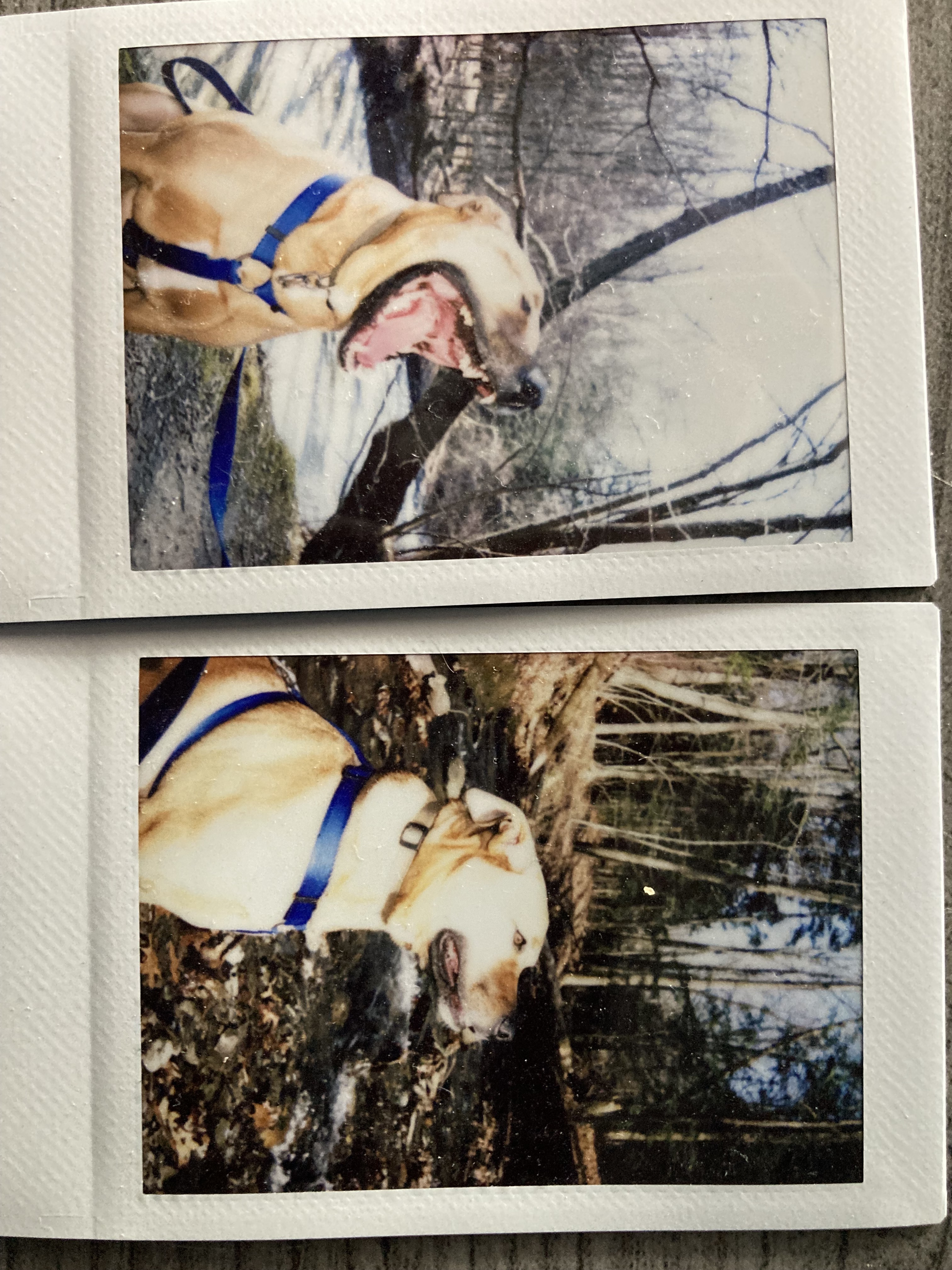 High Speed High Frequency High Res A Look At 3 Novel Uses Of Cameras