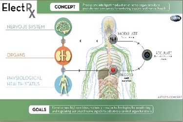President Obama Highlights New DARPA Program Aimed At Developing Novel ...
