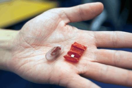 Ingestible Origami Robot Unfolds In Stomach