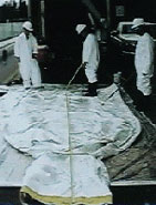 Poly-Triplex Liner System