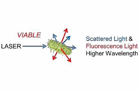 Real-Time Viable Particle Monitoring How Does It Work How Can It Help