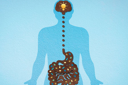 Targeting The GutBrain Axis With Live Biotherapeutic Products