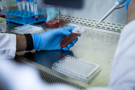 Leverage Automated Workflows To Enable Complex Organoid Assays