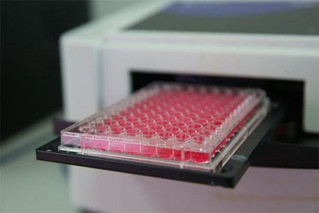 Optimized Plate Reader Assays For Breakthrough Drug Discovery Research