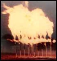 Hydrocarbon Product Showcase