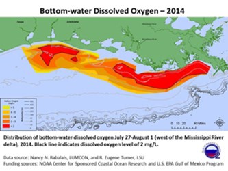 NOAA- EPA-Supported Scientists Find Average But Large Gulf Dead Zone