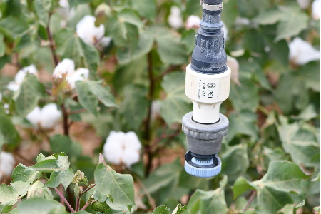Adapting Crops For Future Climate Conditions