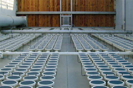 Sanitaire Xeramic™ Brochure