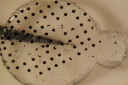 Artificial Retina Could Aid The Visually Impaired