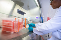 Corning Life Sciences