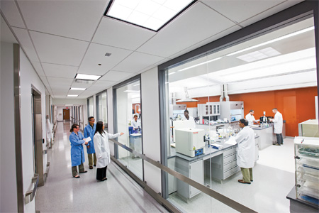 Optimizing Human Factors Testing: Engaging End-Users In Medical Device ...