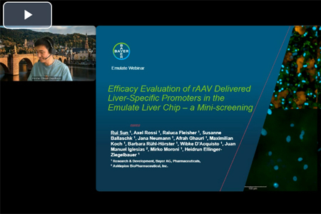 Efficacy Evaluation Of AAV-Delivered Liver-Specific Promoters
