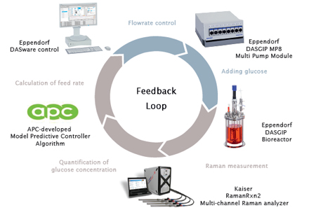 A Quality-By-Design Approach To Upstream Bioprocess Interrogation And ...