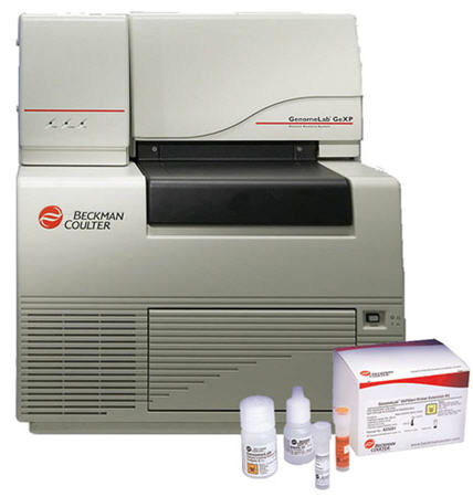 Capillary Electrophoresis: GenomeLab GeXP Genetic Analysis System