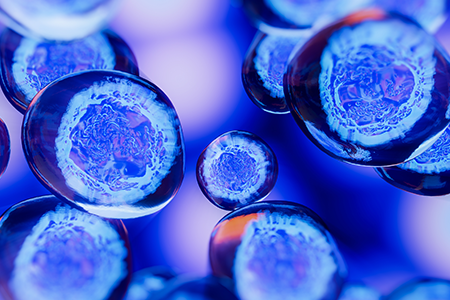 Understanding The Intricacies Of Quantitative Mass Spectrometry Imaging ...