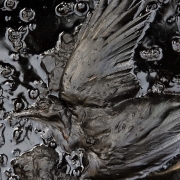 Oil Spills Raise Arsenic Levels In The Ocean, Says New Research