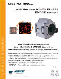 Brochure: iXon EM + DU-888 EMCCD