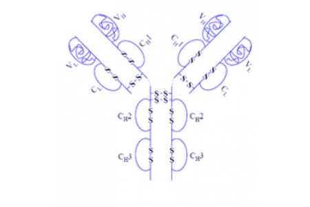 Adalimumab Market - Global Segments And Forecasts Up To 2023 ...