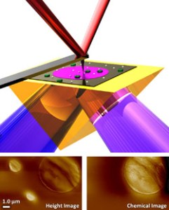 Anasys Reports On NIST Announcement Illustrating Chemical Composition ...