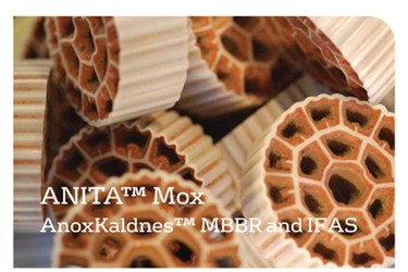 ANITA Mox Anammox Process