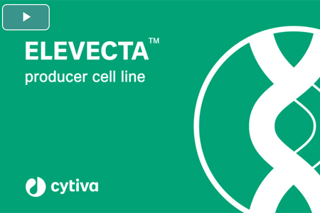 ELEVECTA Producer Cell Line For Transfection-Free AAV Manufacturing
