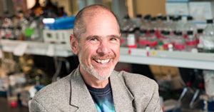 Protein Identified That Serves As A Switch In A Key Pathway Of ...