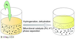 Biomass As A Source Of Raw Materials New Process For Obtaining Alkanes ...