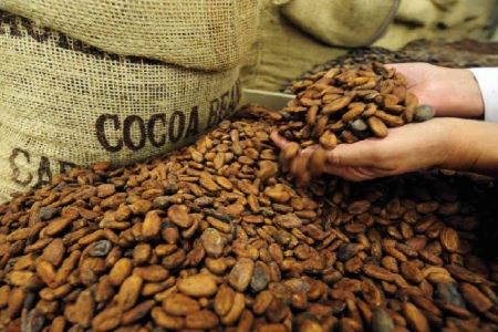 Indonesia Is Ground-Zero In The Battle For Cocoa Dominance