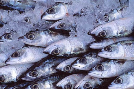 Combatting Seafood Fraud Presidential Task Force Releases Final Action Plan