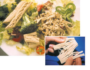 Protein fibration by extrusion