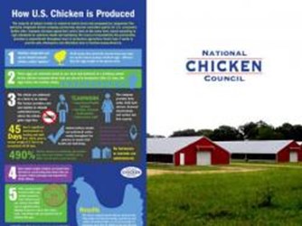 New National Chicken Council Website Opens The Door On Poultry Production