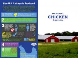 New National Chicken Council Website Opens The Door On Poultry Production