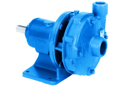 3742 Cast Iron Bronze Pumps