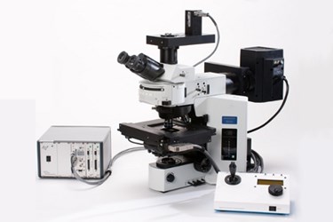 3 Trends In Biological Imaging — And Their Impact On Microscope ...