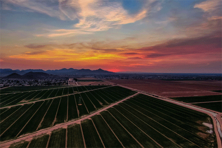Investigation Finds Saudi Arabian Firm Tapped Arizona's Dwindling Water ...