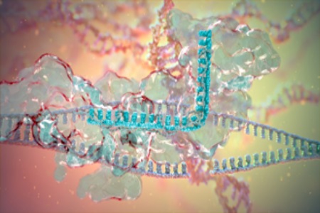 AstraZeneca Announces Collaborations To Use CRISPR Technology For ...