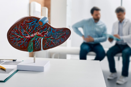 Protecting Human Health With Organ-On-A-Chip Technology