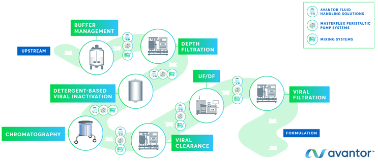 Downstream Process Enhancement Services For mAb Manufacturing