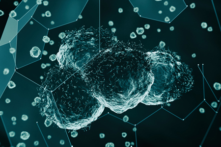 A "Particular" Problem For Cell Therapy Products Part 2 Cell Clumps And ...